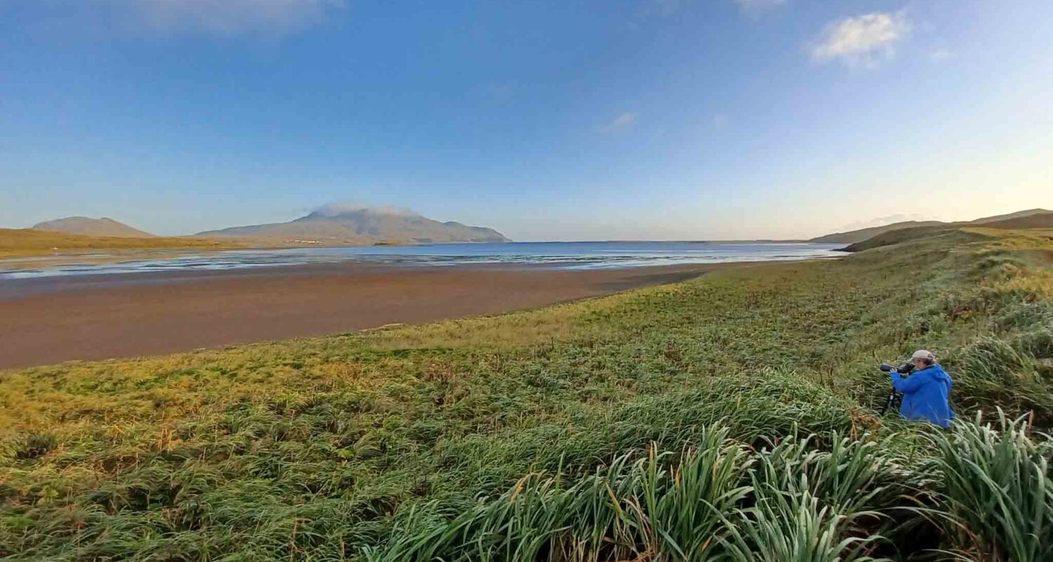 New Tour in 2023: Fall Migration on Adak Island! – Wilderness Birding ...